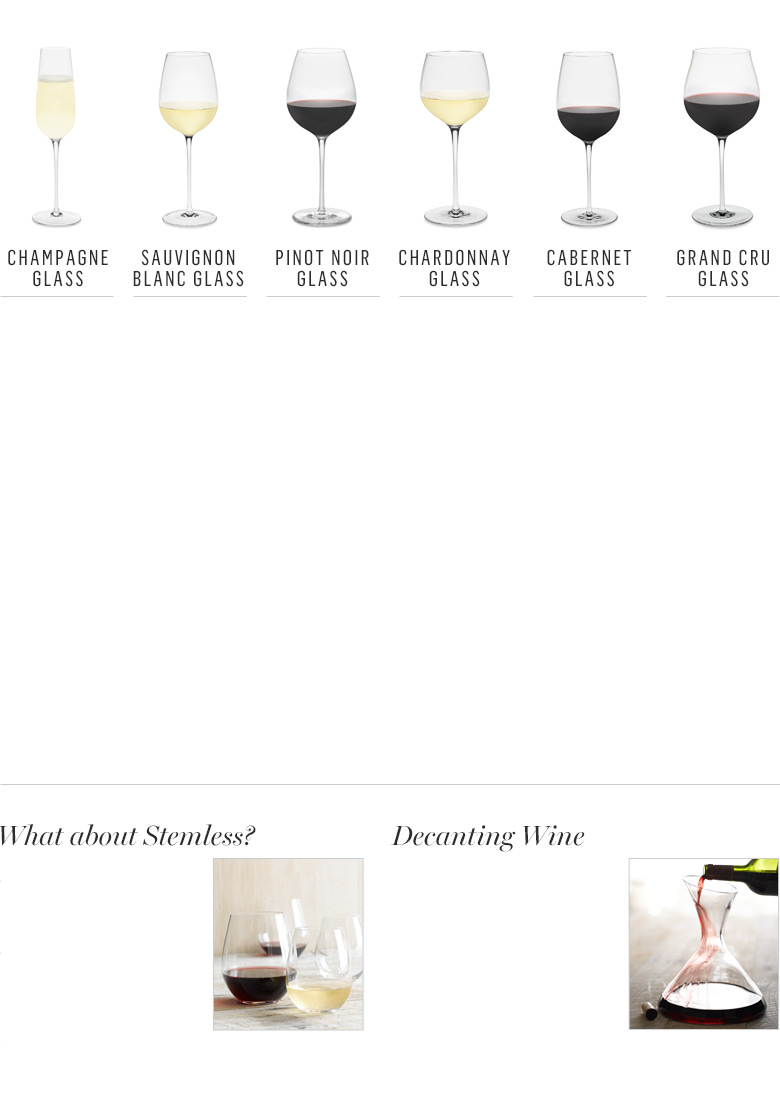Wine Glass Types Guide | Williams Sonoma