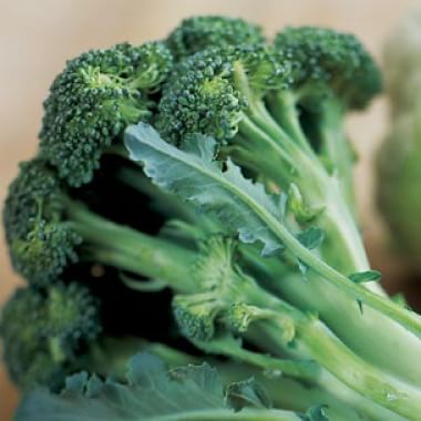 All About Broccoli: Preparing and Storing Broccoli | Williams Sonoma