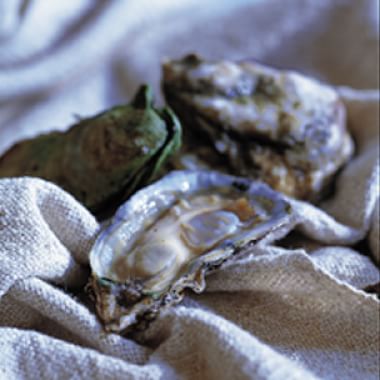 Oyster Varieties | Williams Sonoma
