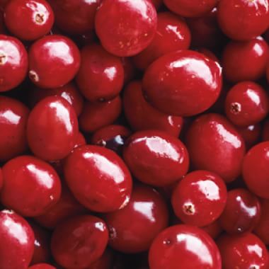 All About Cranberries: Preparing and Storing Cranberries | Williams Sonoma