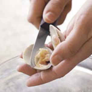 Shucking Clams | Williams Sonoma