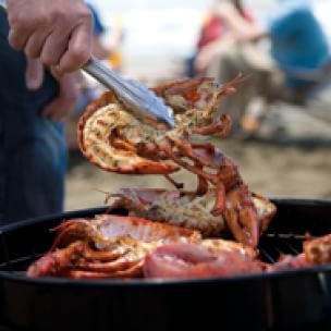 Secrets to Great Grilling – Seafood | Williams Sonoma