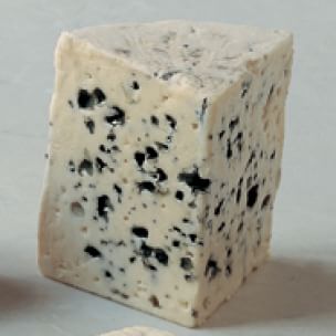 Le Fromage | Williams Sonoma