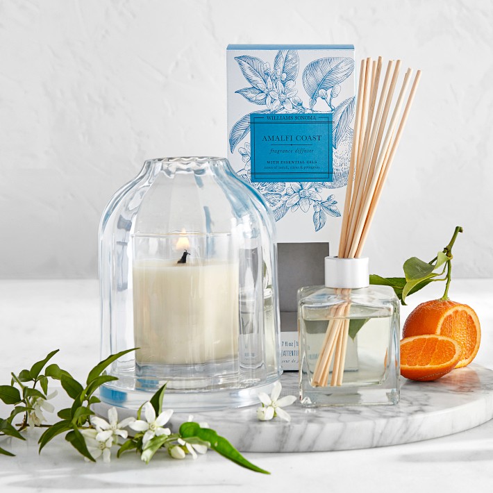 Glass Candle Cloche | Williams Sonoma