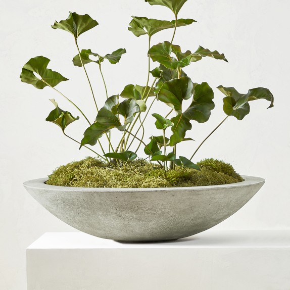 Low Zen Bowl | Williams Sonoma
