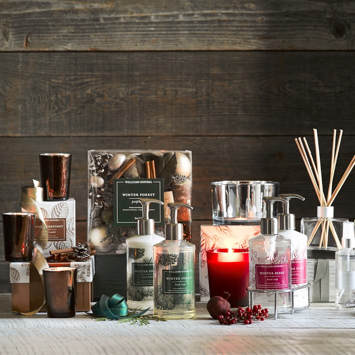 Williams Sonoma Winter Forest Potpourri Fragrance Diffusers | Williams ...