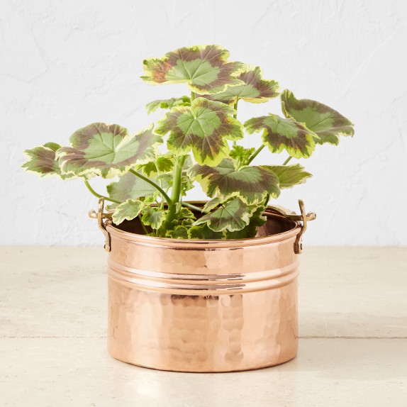 Copper Round Ribbed Planter | Williams Sonoma