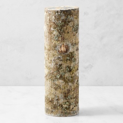 Oyster Mushroom Log Kit | Mushroom Growing Kit | Williams Sonoma