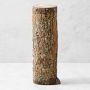 Shiitake Mushroom Log Kit | Mushroom Growing Kit | Williams Sonoma