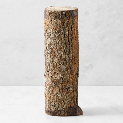 Shiitake Mushroom Log Kit | Mushroom Growing Kit | Williams Sonoma