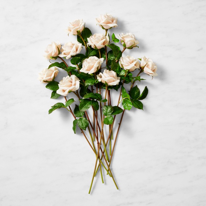 Jeff Leatham Real Touch Faux Quicksand Rose Stems, Set of 12 | Williams ...