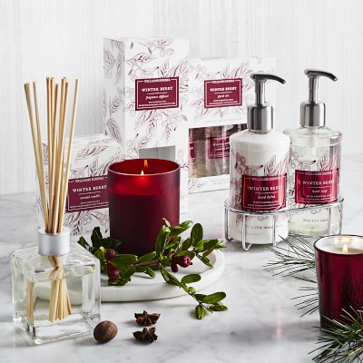 Williams Sonoma Winter Berry Reed Diffuser | Williams Sonoma