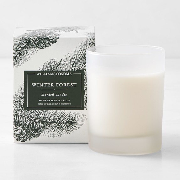 Williams Sonoma Winter Forest Candle | Williams Sonoma