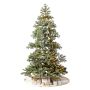 Balsam Hill Most Realistic Yukon Spruce Faux Tree, 7.5'-9' | Williams ...