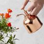 Copper Plant Mister | Garden Tools | Williams Sonoma