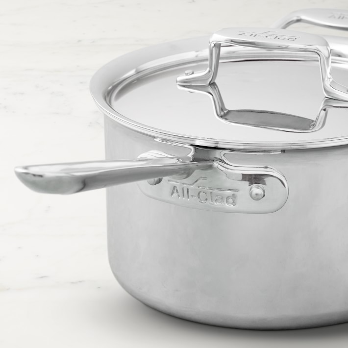 All-Clad d5 Stainless Steel 10-Piece Cookware Set and Stainless Steel ...