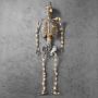 Madame Bonesworth Pre-Lit Silver Skeleton, 5.8' | Williams Sonoma