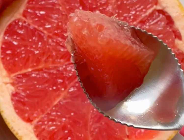 Williams Sonoma Dual Grapefruit Tool | Fruit Tools | Williams Sonoma