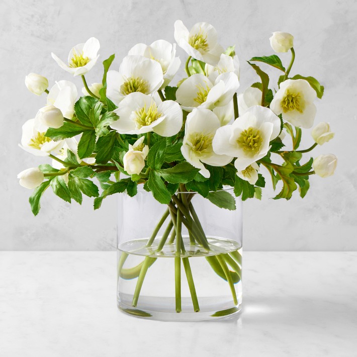 AERIN Real Touch Faux White Hellebores Arrangement in Glass Vase ...