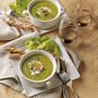 Apilco Zen Porcelain Salad Plates | Williams Sonoma
