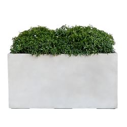 Farnley Planter | Williams Sonoma