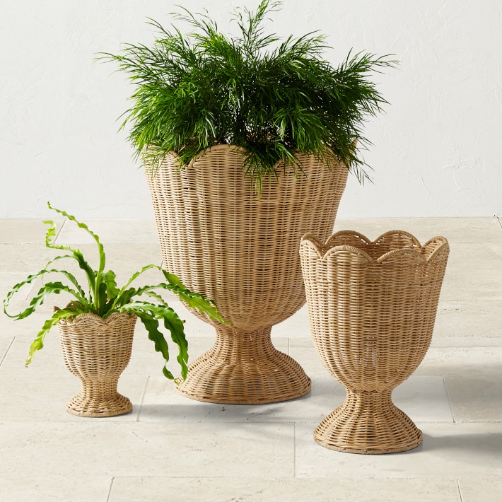 Woven Urn Planter Collection | Williams Sonoma