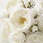 Faux White Rose Arrangement in Small Square Vase | Williams Sonoma