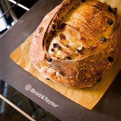 Brod & Taylor Bread Steel | Williams Sonoma
