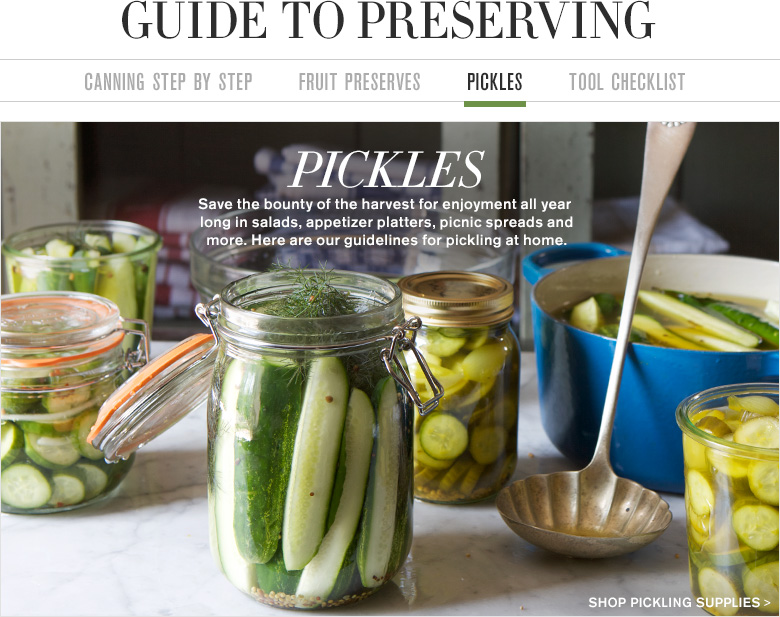 Guide to Preserving and Pickling Pickles | Williams Sonoma