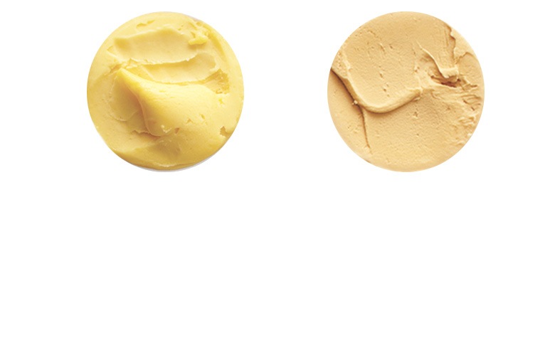 All About Ice Cream | Williams Sonoma