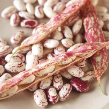 All About Shell Beans: What are Shell Beans? | Williams Sonoma