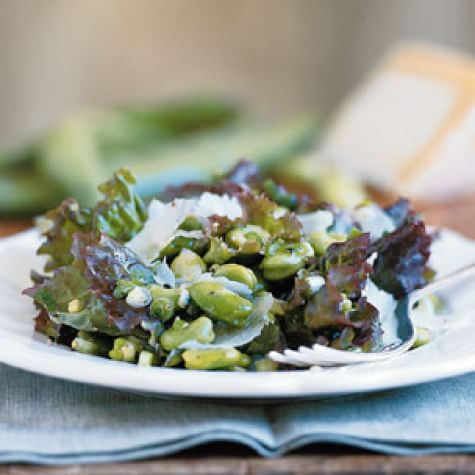 Fava Bean and Pecorino Salad | Williams Sonoma