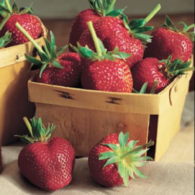 All About Strawberries: Preparing and Storing Strawberries | Williams ...