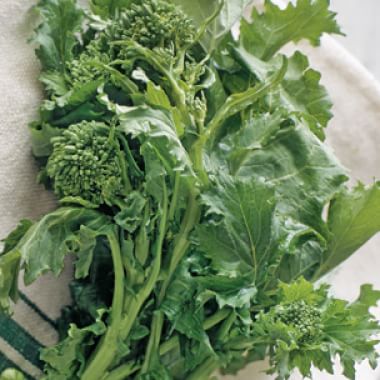 All About Broccoli Rabe: Storing and Cooking Broccoli Rabe | Williams ...