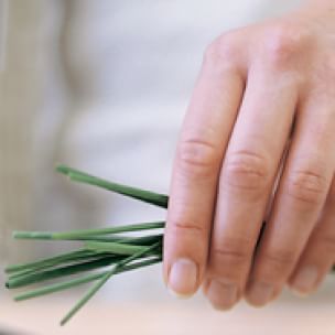 How to Cut Chives | Williams Sonoma