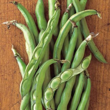 All About Fava Beans: Preparing and Storing Fava Beans | Williams Sonoma