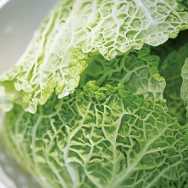 All About Green Cabbage | Williams Sonoma