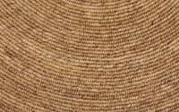 Light Abaca Rug | Williams Sonoma