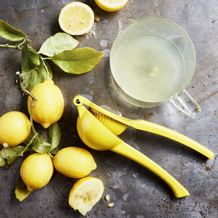 Open Kitchen by Williams Sonoma Lemon Press | Fruit Tools | Williams Sonoma