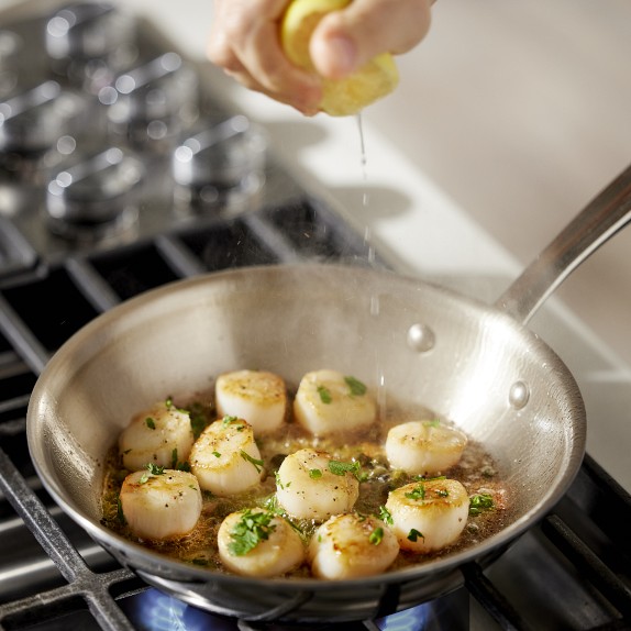 All-Clad G5 Graphite Core Stainless-Steel Fry Pan, 10 1/2" | Williams ...