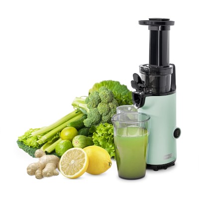 Dash Compact Cold Press Power Juicer | Williams Sonoma