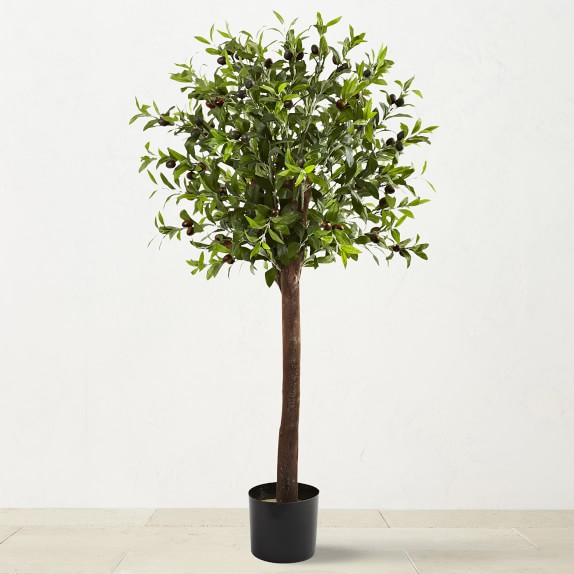 4' Faux Silk Olive Tree Indoor Topiary | Williams Sonoma
