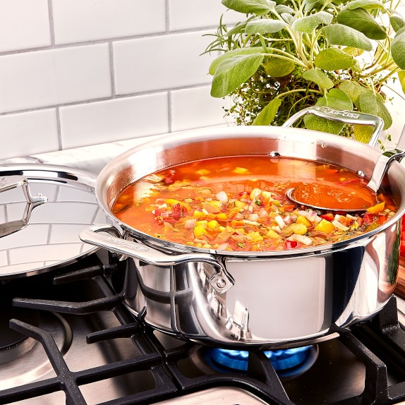 All-Clad d5 Stainless-Steel Ultimate Soup Pot with Ladle | Williams Sonoma