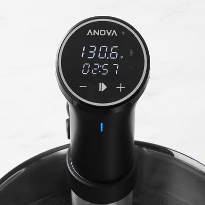 Anova Precision® Cooker 3.0 with Wi-Fi | Williams Sonoma