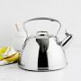 All-Clad Stainless-Steel Tea Kettle | Williams Sonoma