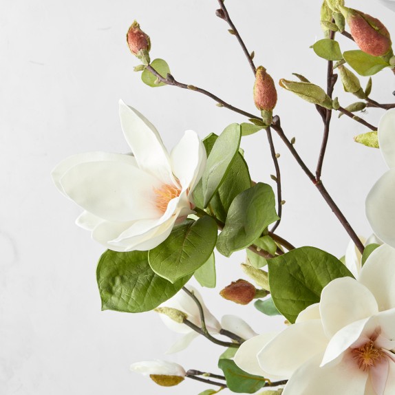 Faux Magnolia Flower & Branch Arrangement in Silver Vase | Williams Sonoma