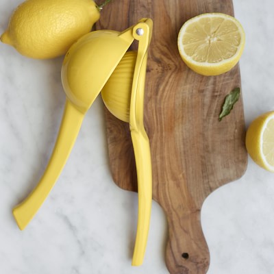 Open Kitchen by Williams Sonoma Lemon Press | Fruit Tools | Williams Sonoma