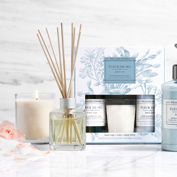 Williams Sonoma Fleur de Sel Fragrance Diffusers | Williams Sonoma