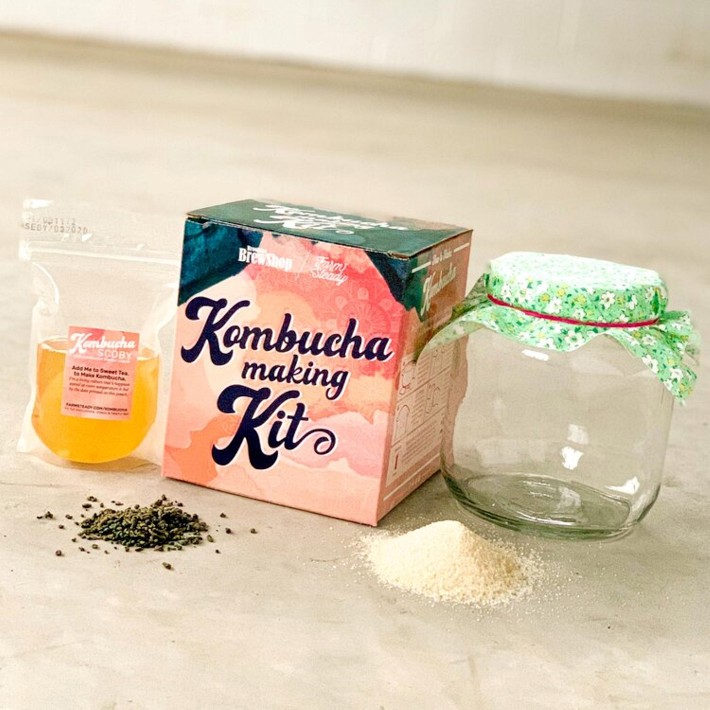 DIY Green Tea Kombucha Making Kit | Williams Sonoma
