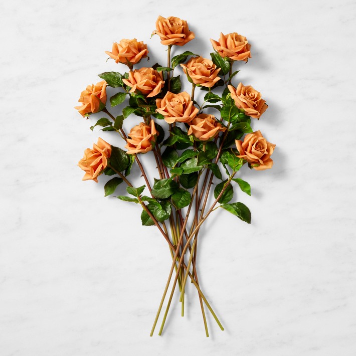 Jeff Leatham Real Touch Faux Toffee Rose Stems, Set of 12 | Williams Sonoma